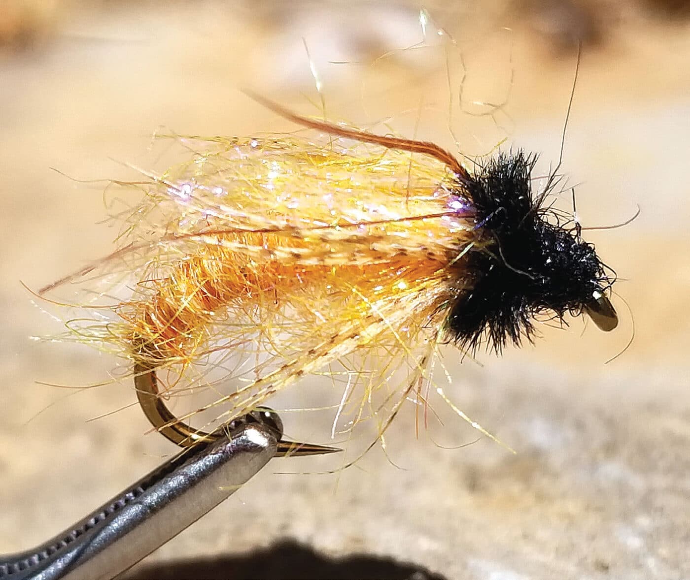 Fishing the October Caddis: Insights and Techniques - California Fly Fisher