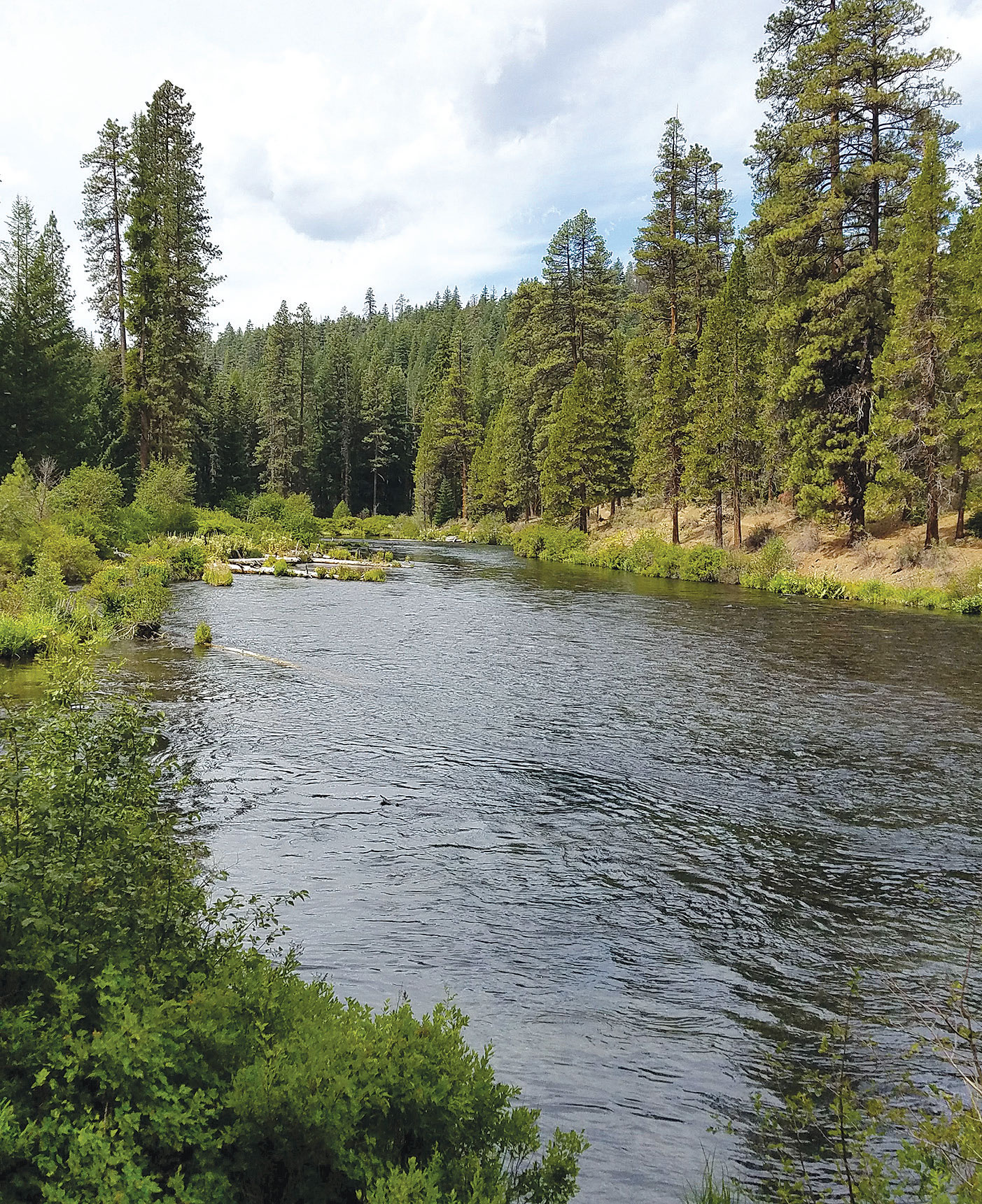 Beneath the Surface: Damp Clay - California Fly Fisher