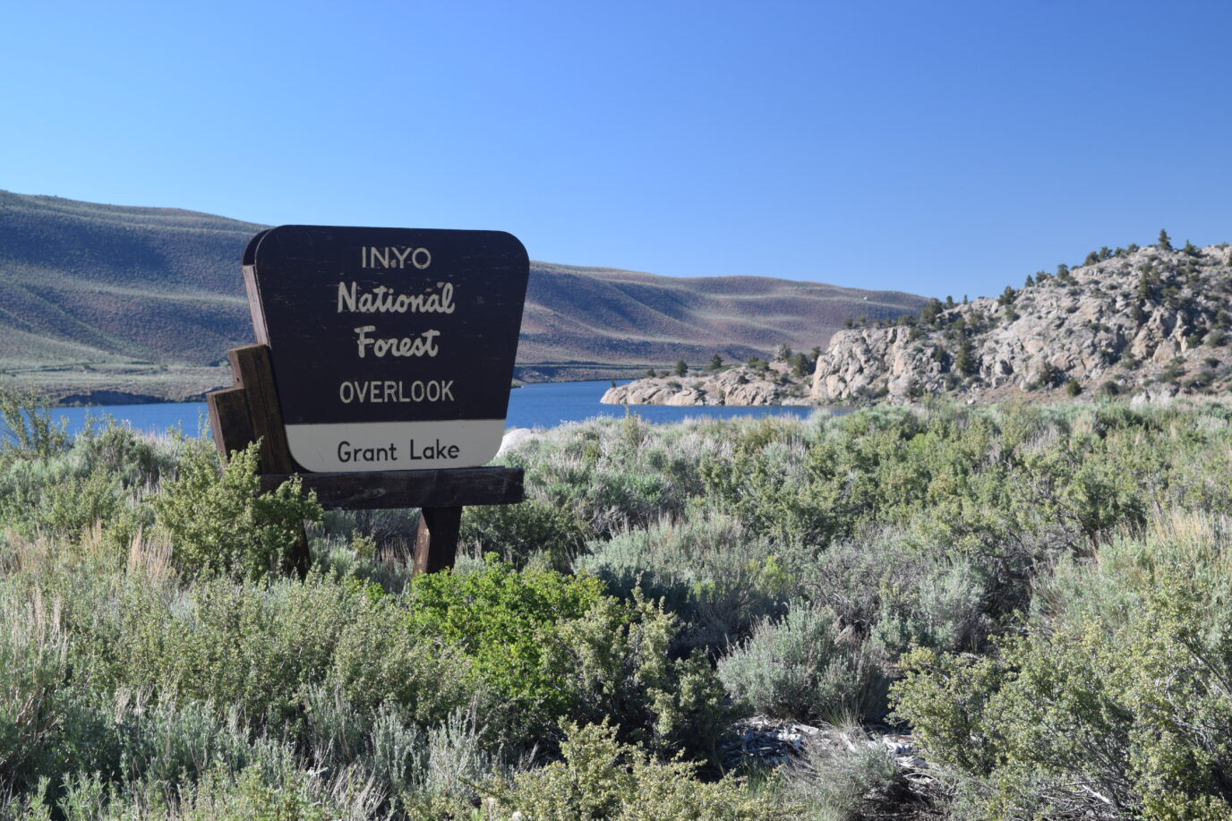 Spotlight Destination: June Lake Loop - California Fly Fisher