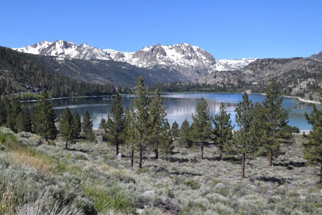 Field Notes: June Lake - California Fly Fisher