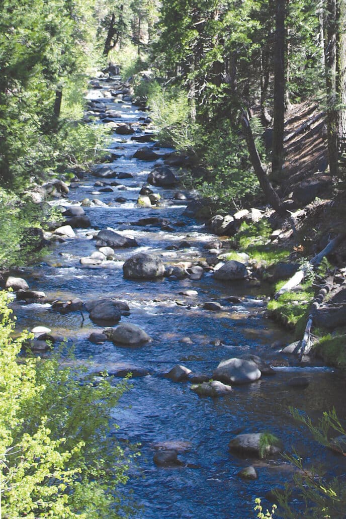 The Eastern Sierra’s Trout in Autumn - California Fly Fisher