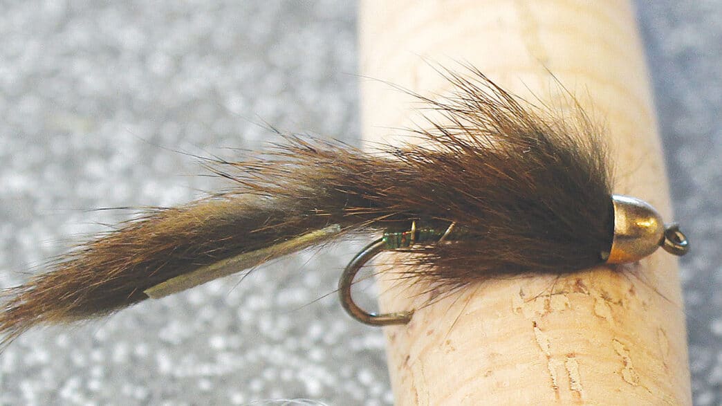 American Shad in California - California Fly Fisher