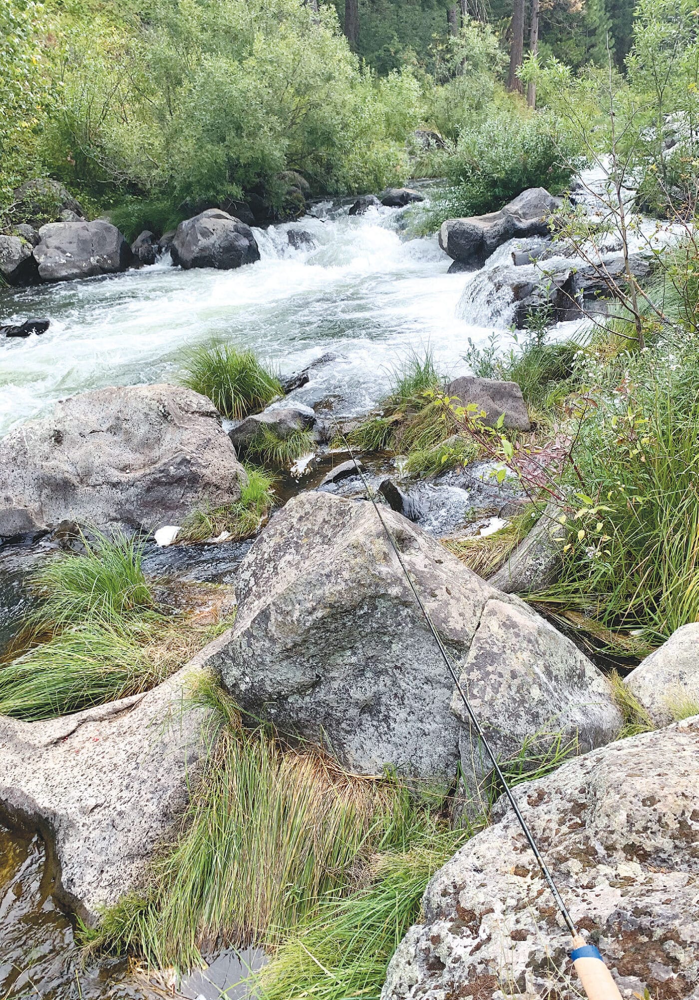 The Stillwater Fly Fisher: Stillwater Phenomena - California Fly Fisher