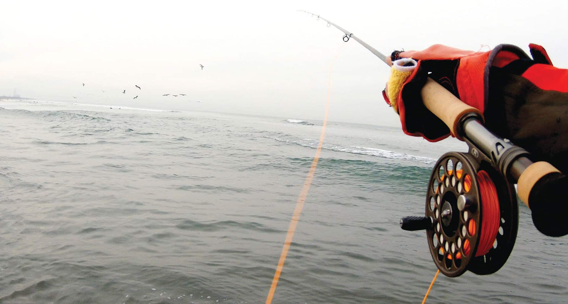Surf Stripers, Part 3 - California Fly Fisher