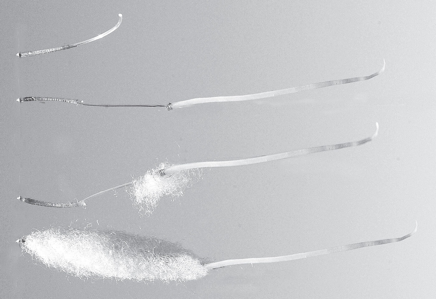 The Fluke Fly - California Fly Fisher