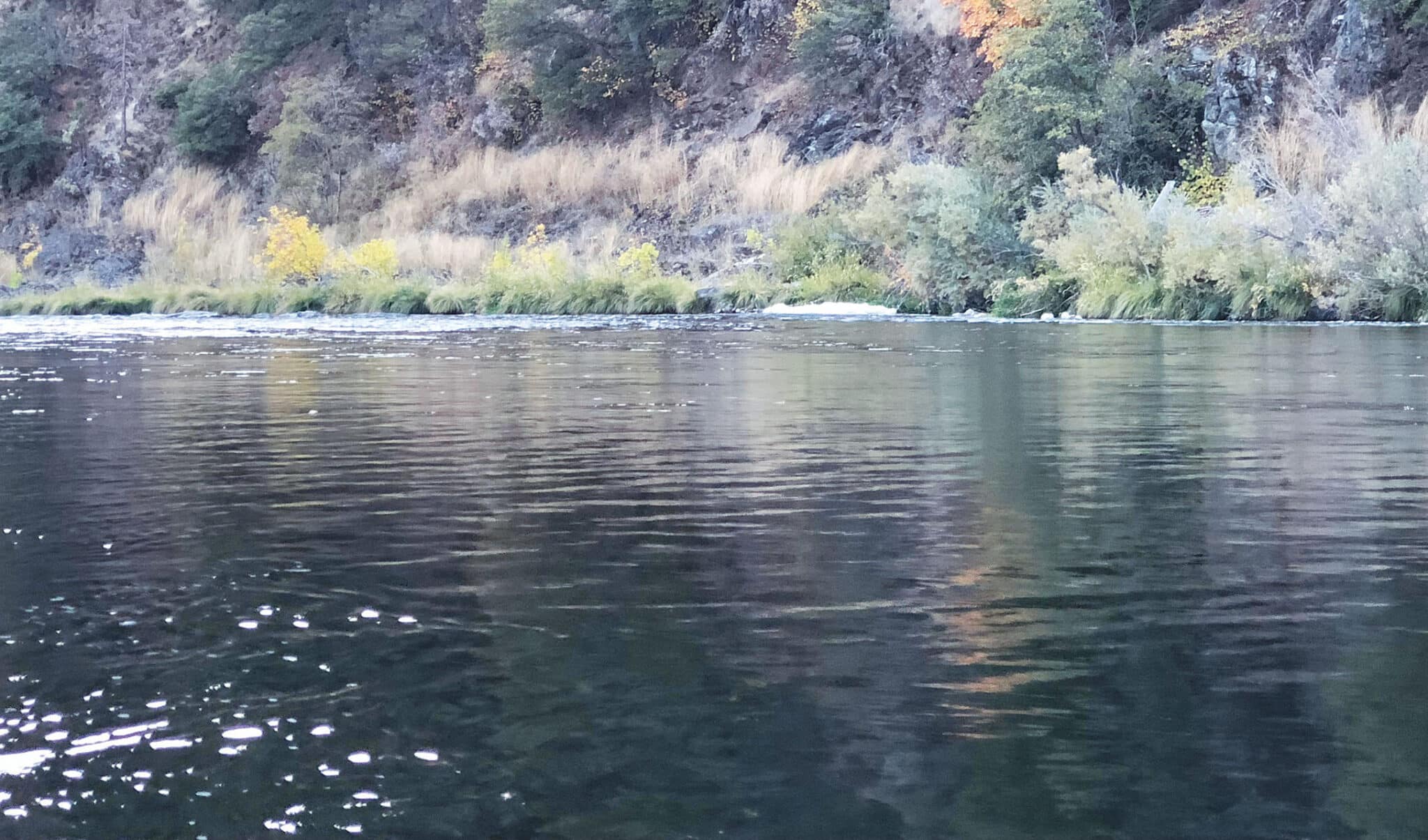 Surf-Zone Basics - California Fly Fisher