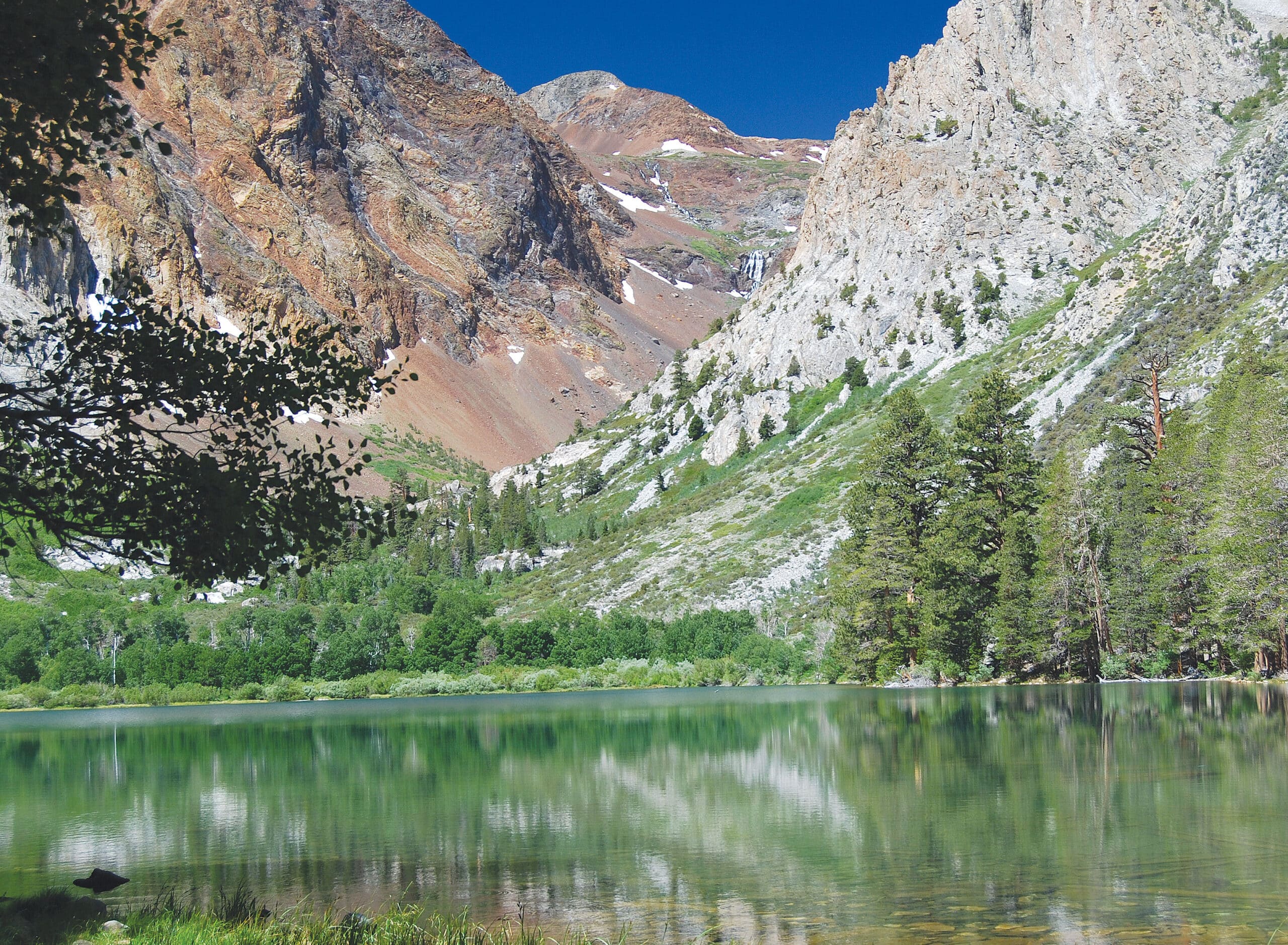 Wild-Trout Waters: The June Lake Loop Region - California Fly Fisher