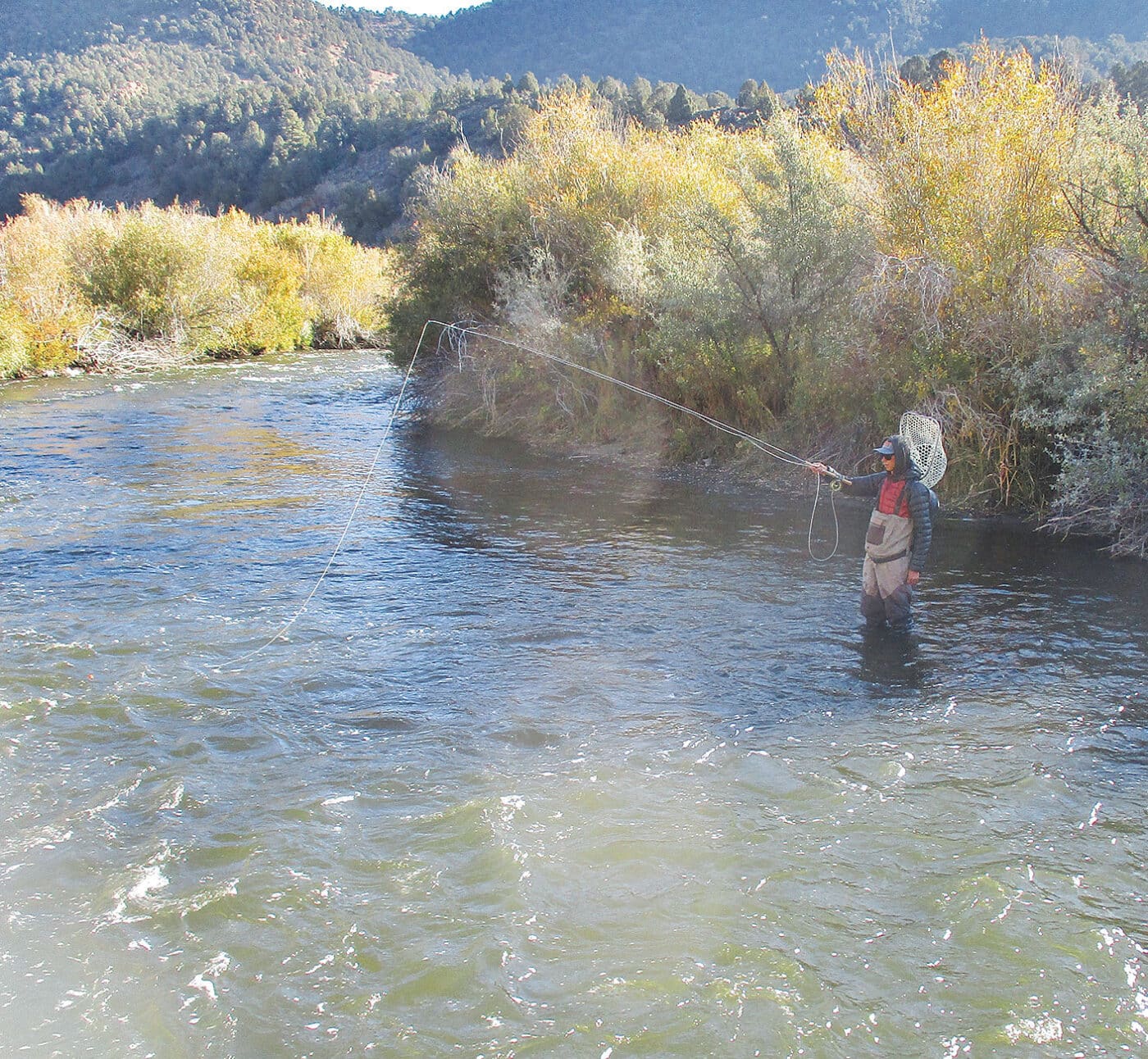 The Foraging Angler: Cooking on a Spit - California Fly Fisher