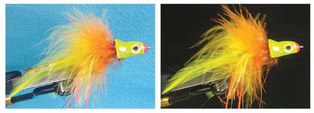American Shad in California - California Fly Fisher