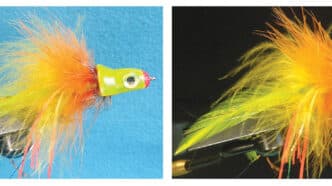 American Shad in California - California Fly Fisher