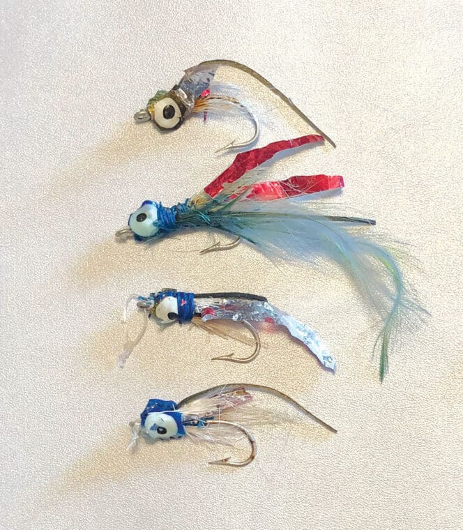 Making Lemonade from Lemons in the Sea of Cortez: The Cortez Flapper ...