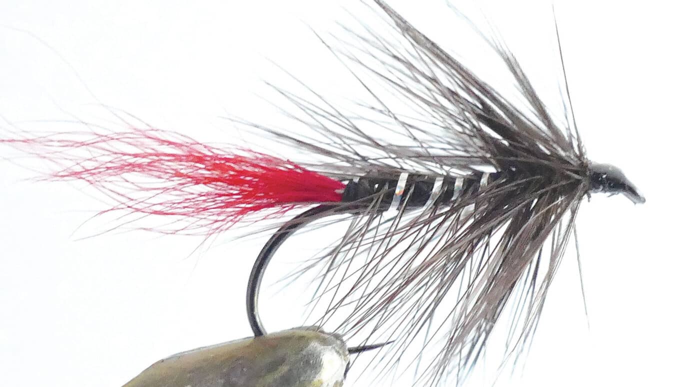 The Stillwater Fly Fisher: Fall at the Lakes - California Fly Fisher