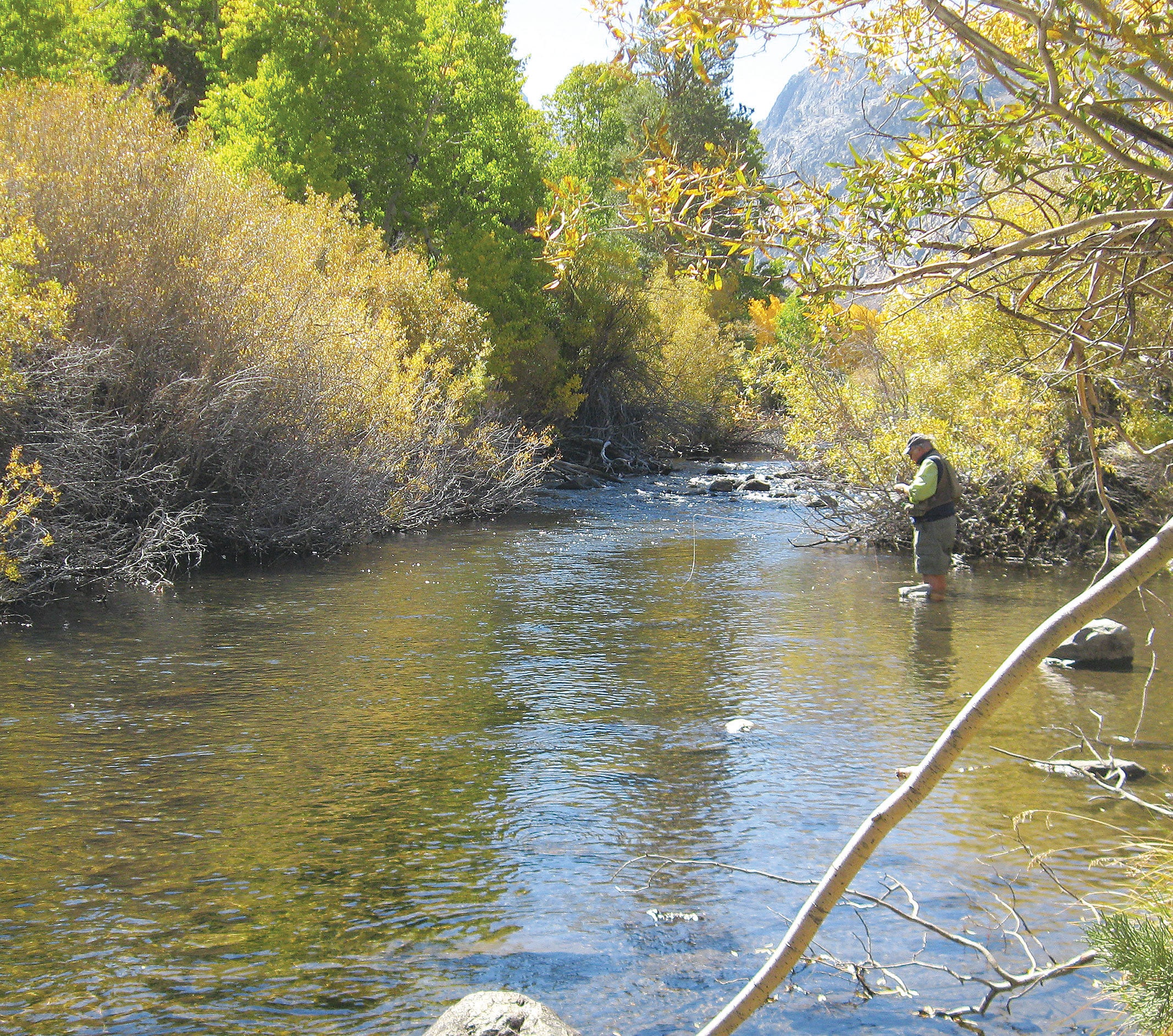 The Eastern Sierra’s Trout in Autumn - California Fly Fisher
