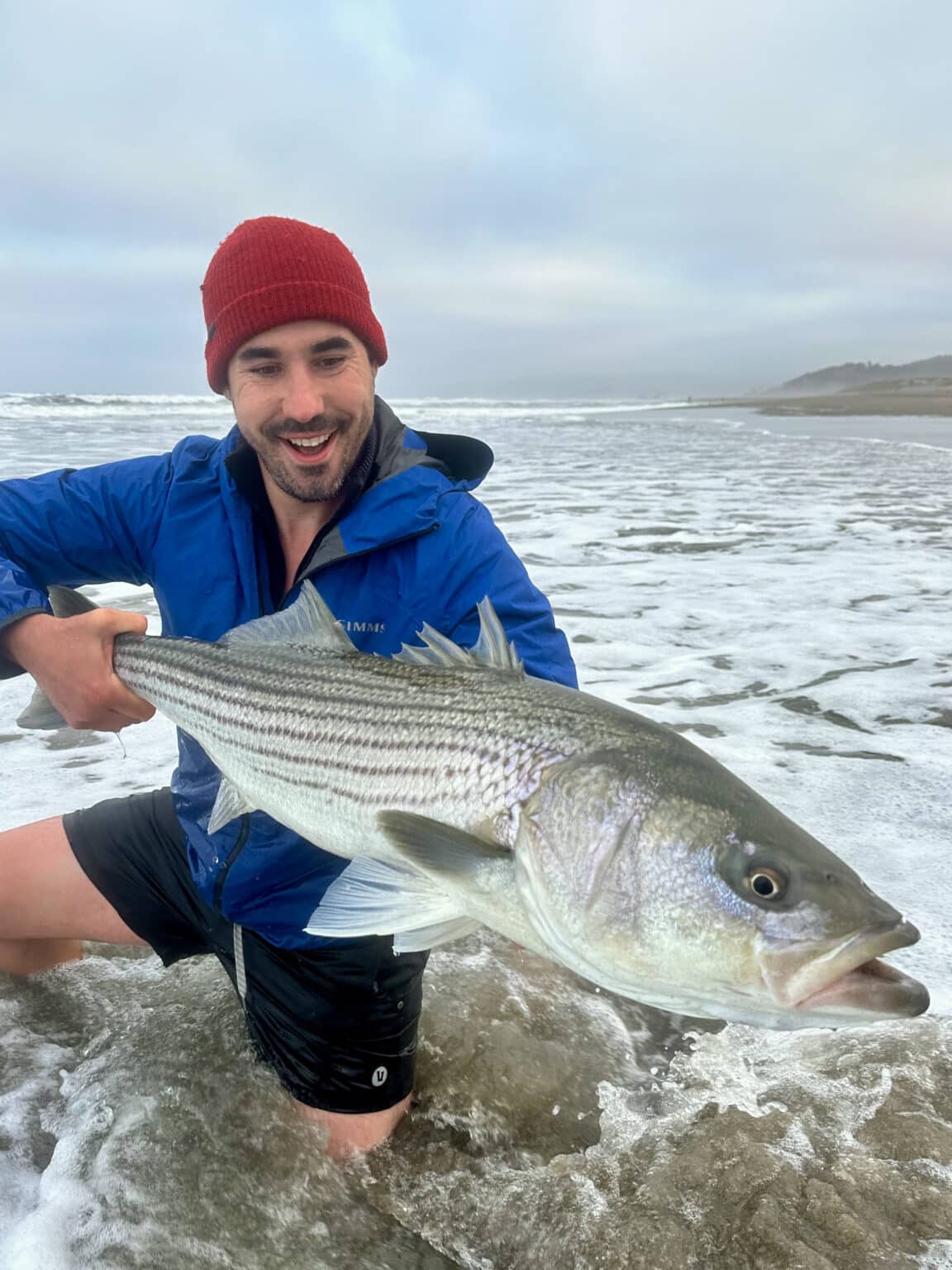 Summer Beans Make Me Feel Fine - California Fly Fisher