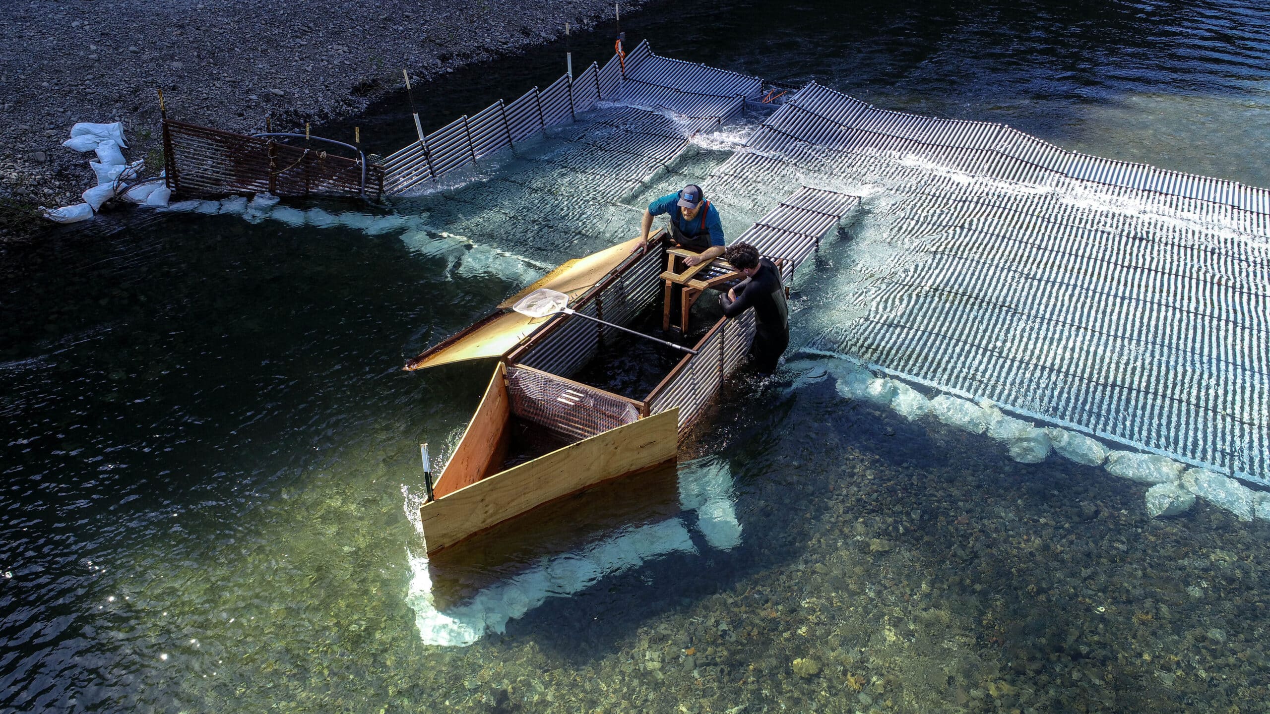 The Good Fight: Beyond Trout - California Fly Fisher