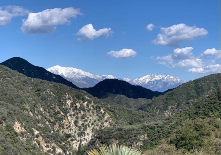 The ORVIS Special Edition Four Wheel Camper - California Fly Fisher