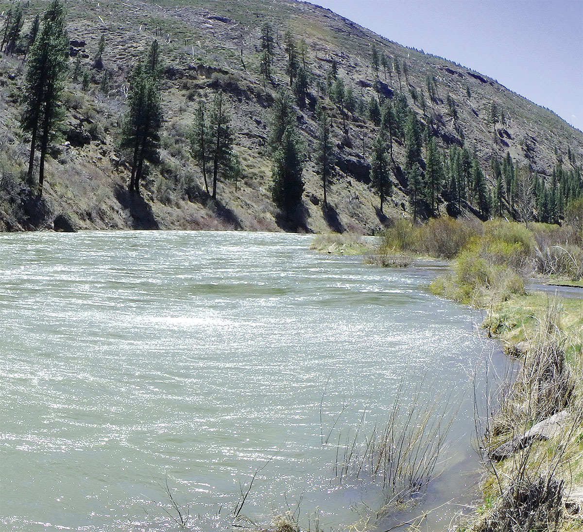 Tactics for High Water - California Fly Fisher