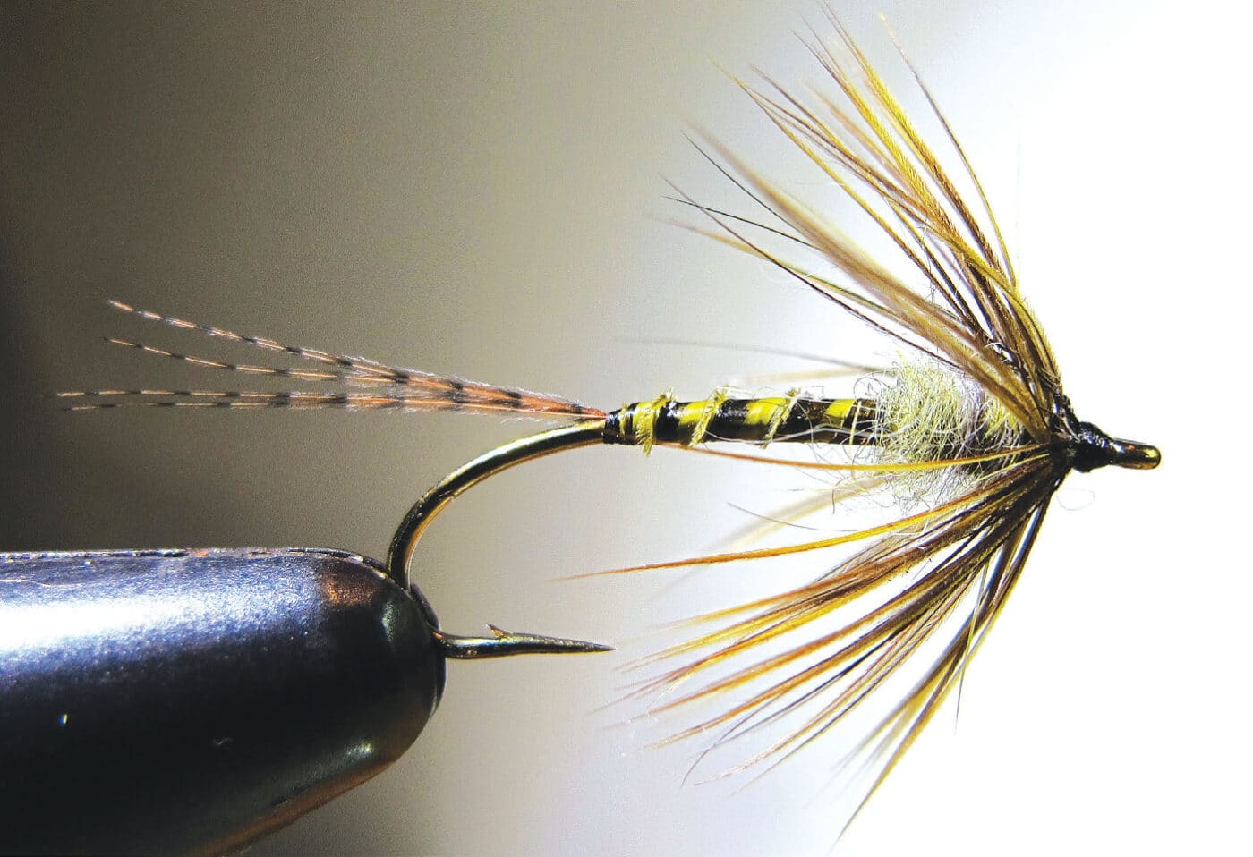 At the Vise: The Governor - California Fly Fisher