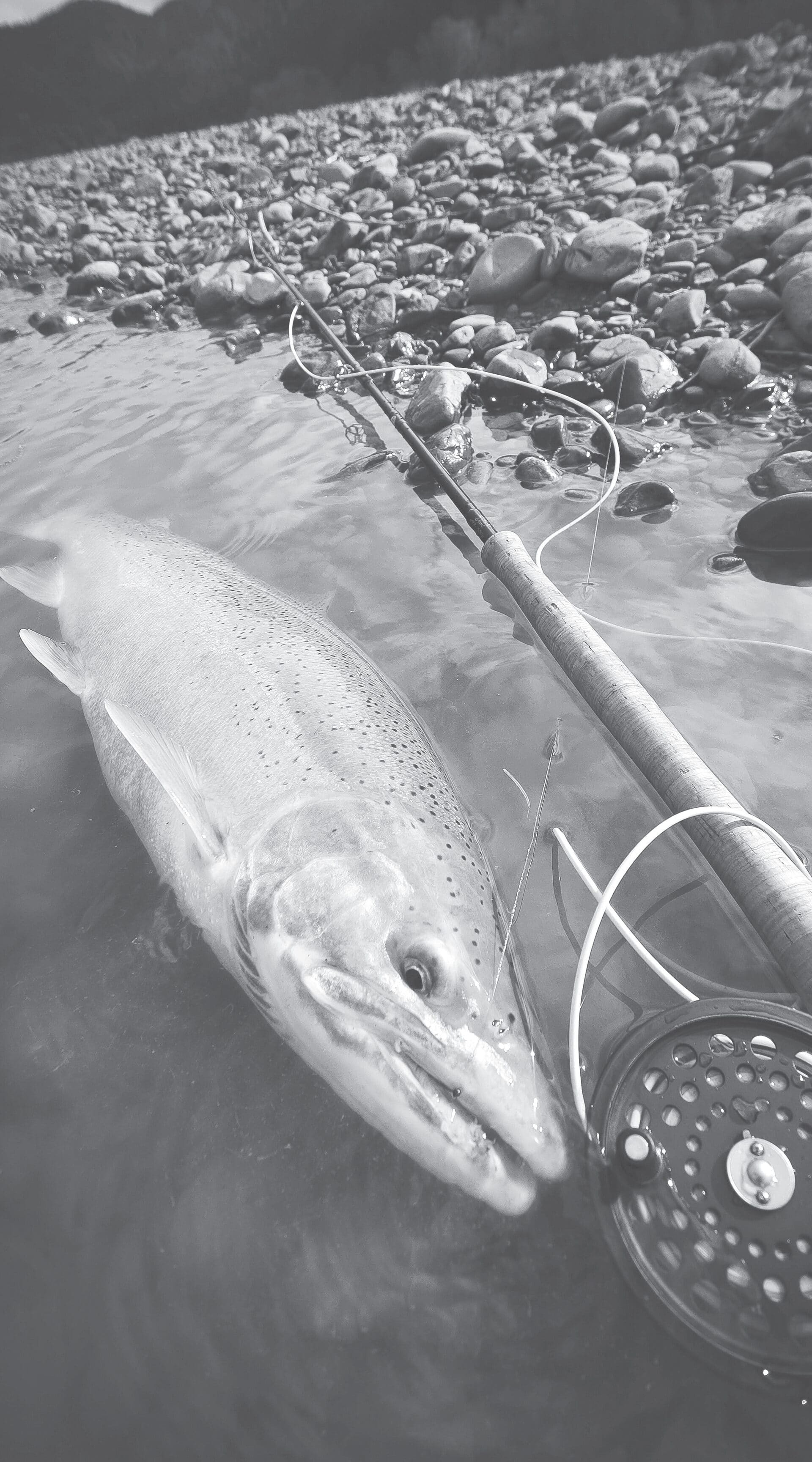 The McCloud in Summer - California Fly Fisher