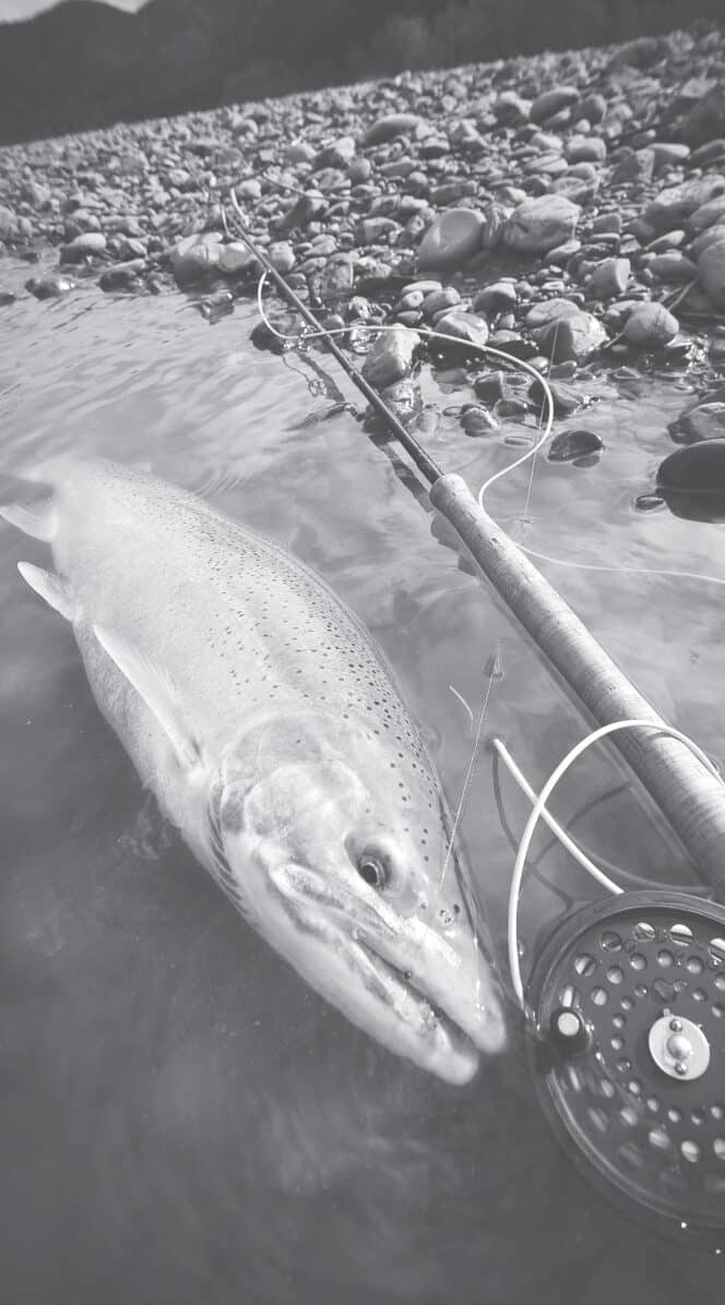 The McCloud in Summer - California Fly Fisher