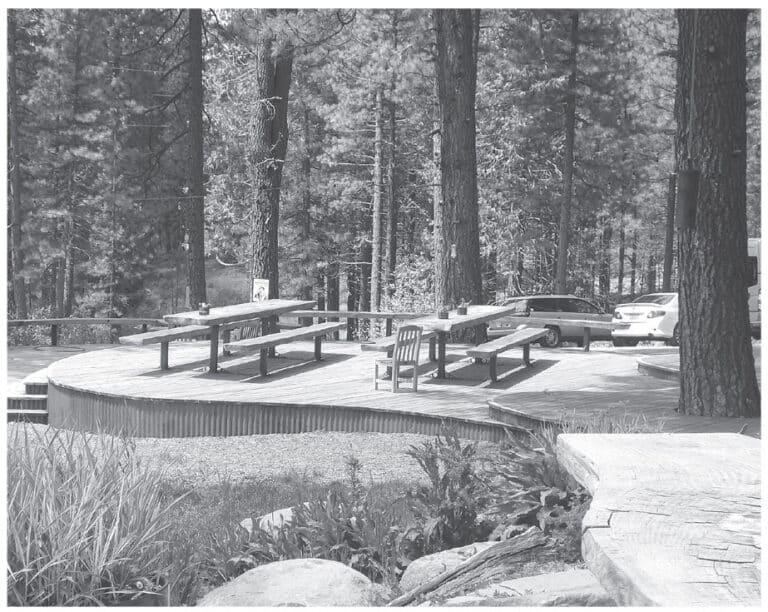 The Foraging Angler: Cheeseburgers In Paradise - California Fly Fisher