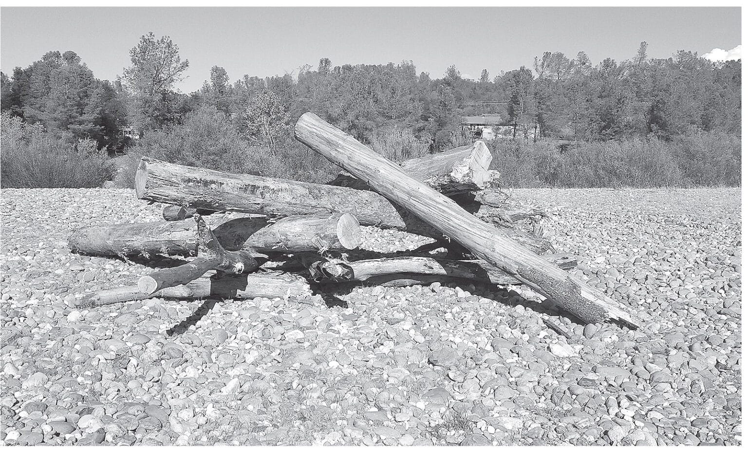 At the Vise: The Governor - California Fly Fisher