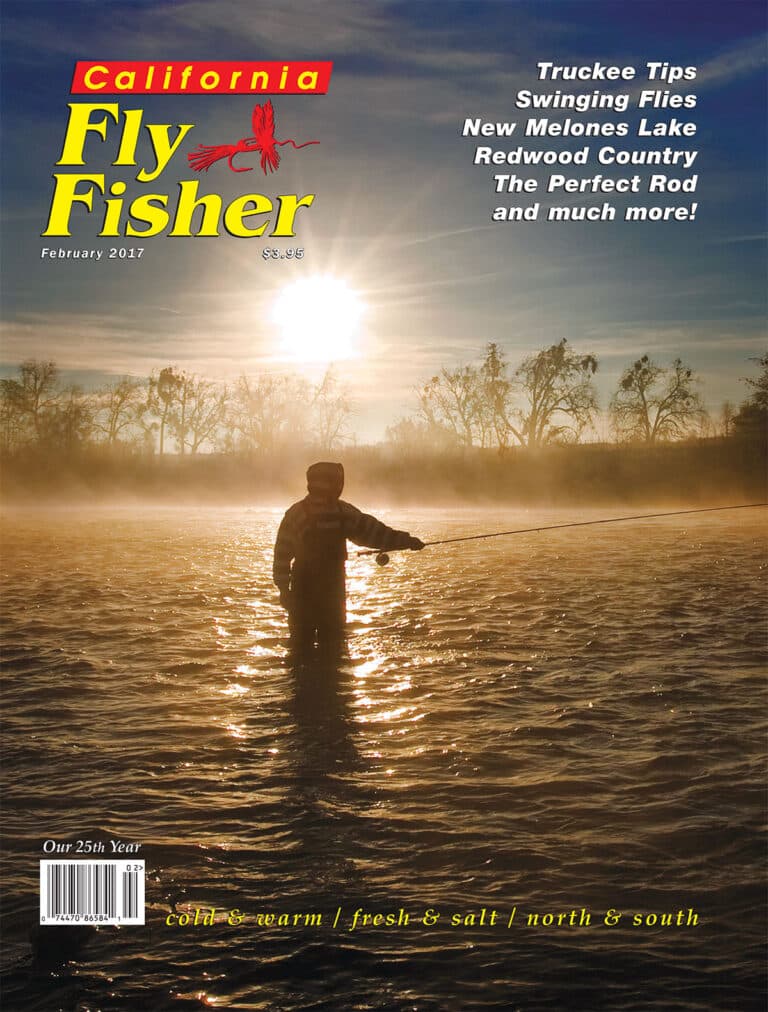 Swinging Flies for Trout and Steelhead with Spey and Switch Rods ...