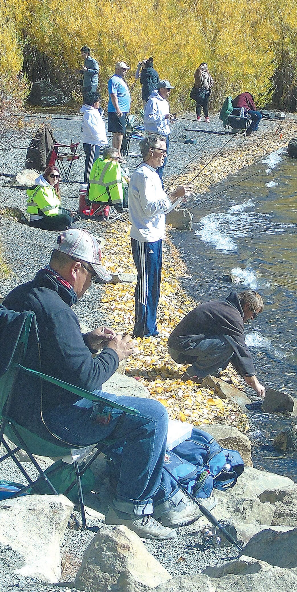 Hatchery Trout in the Eastern Sierra - California Fly Fisher