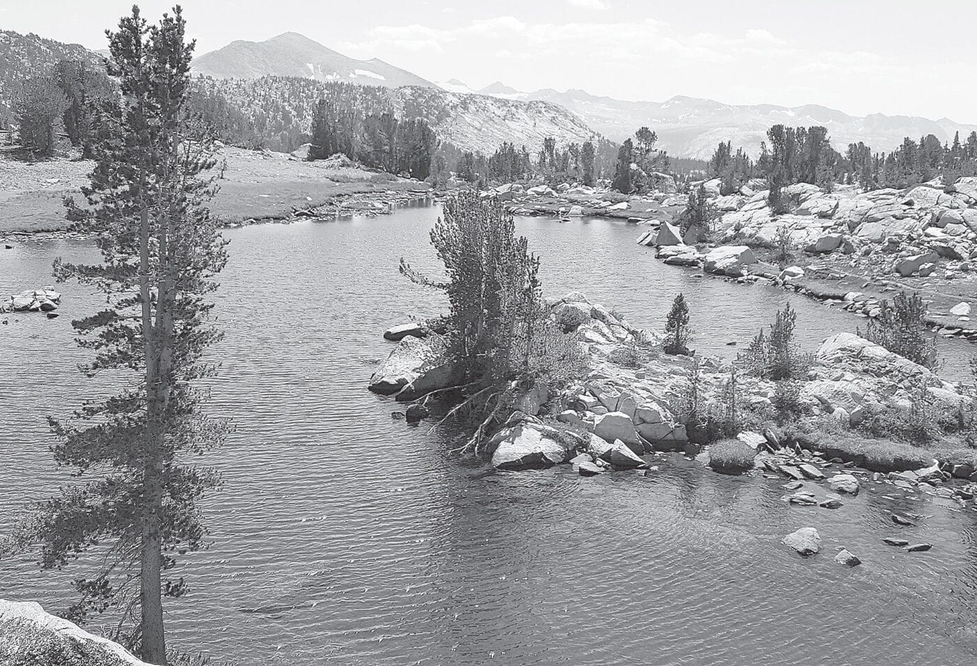 The Foraging Angler: Cooking for a Crowd - California Fly Fisher