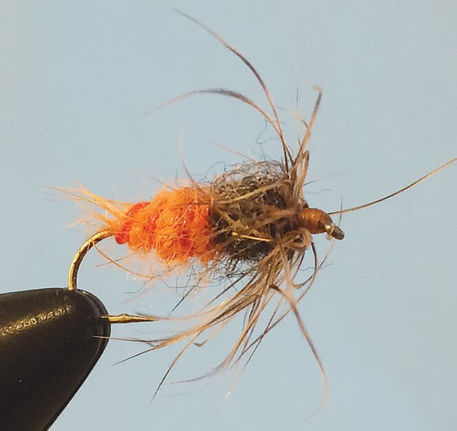 NorCal Winter Fishing Opportunities - California Fly Fisher