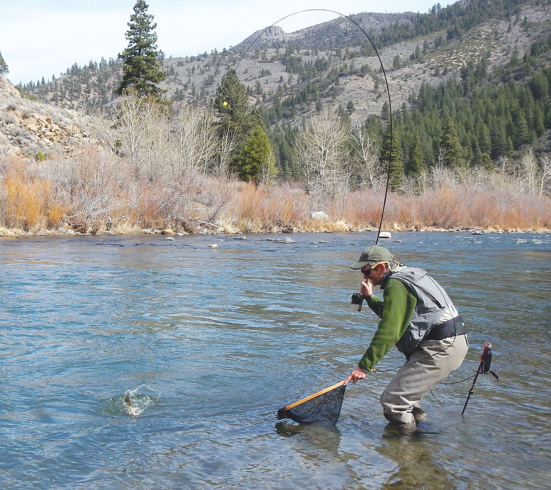 Horsehoe Meadows South: Finding Gold - California Fly Fisher