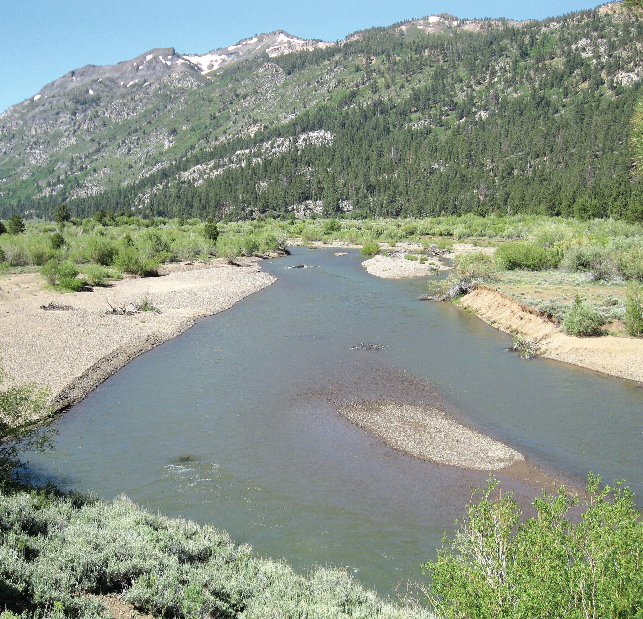 The North Fork of the Feather River - California Fly Fisher