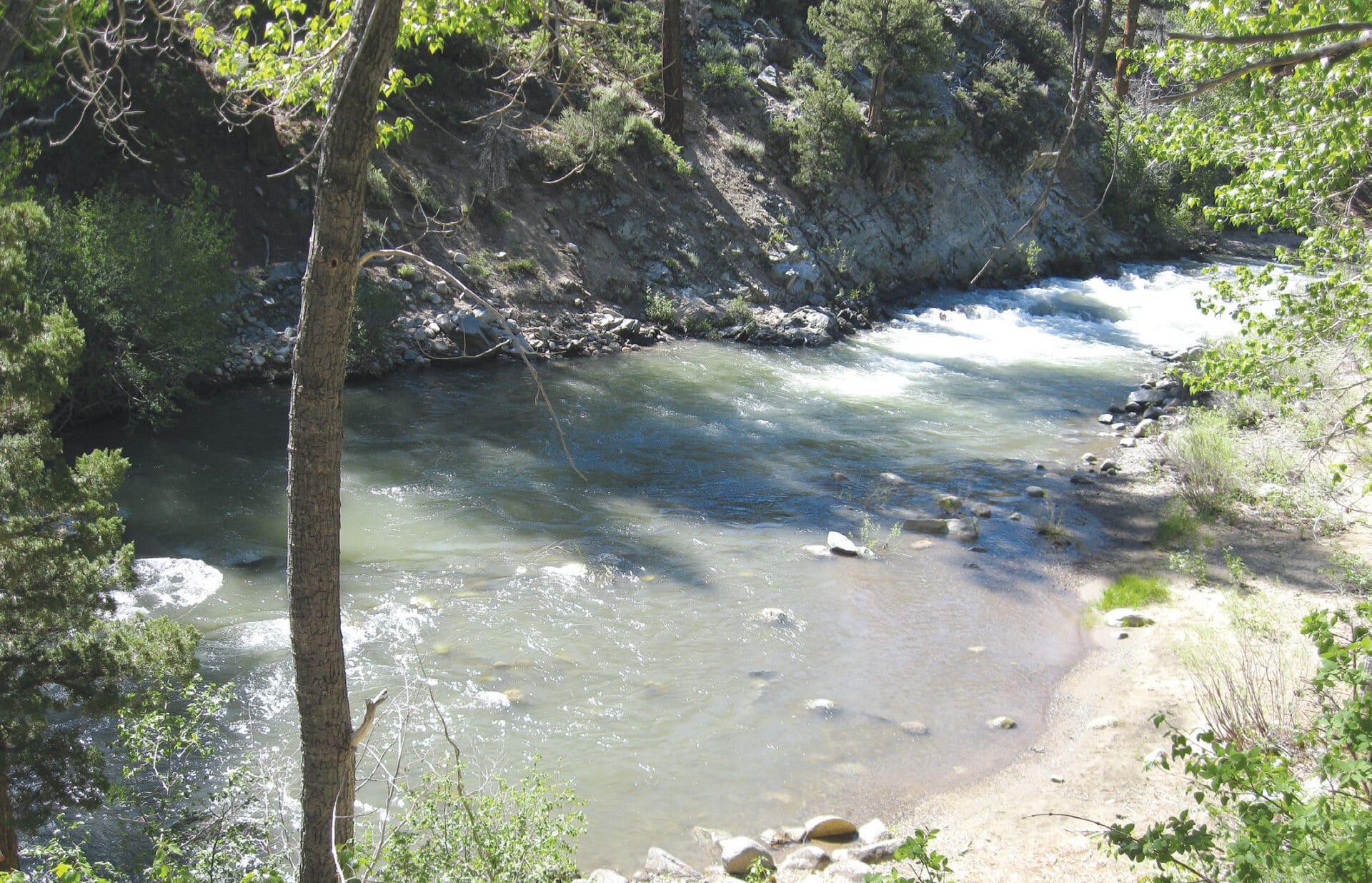 Walker River Basics - California Fly Fisher