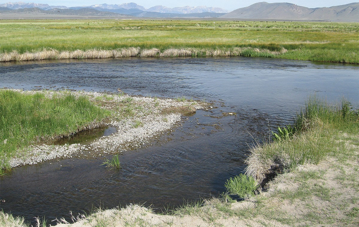 The Trinity River - California Fly Fisher