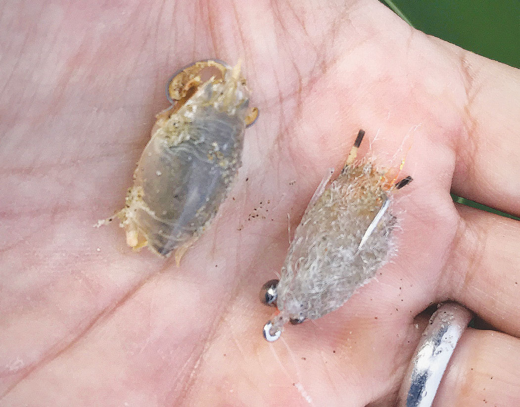 The Holy Moley Sand Crab - California Fly Fisher