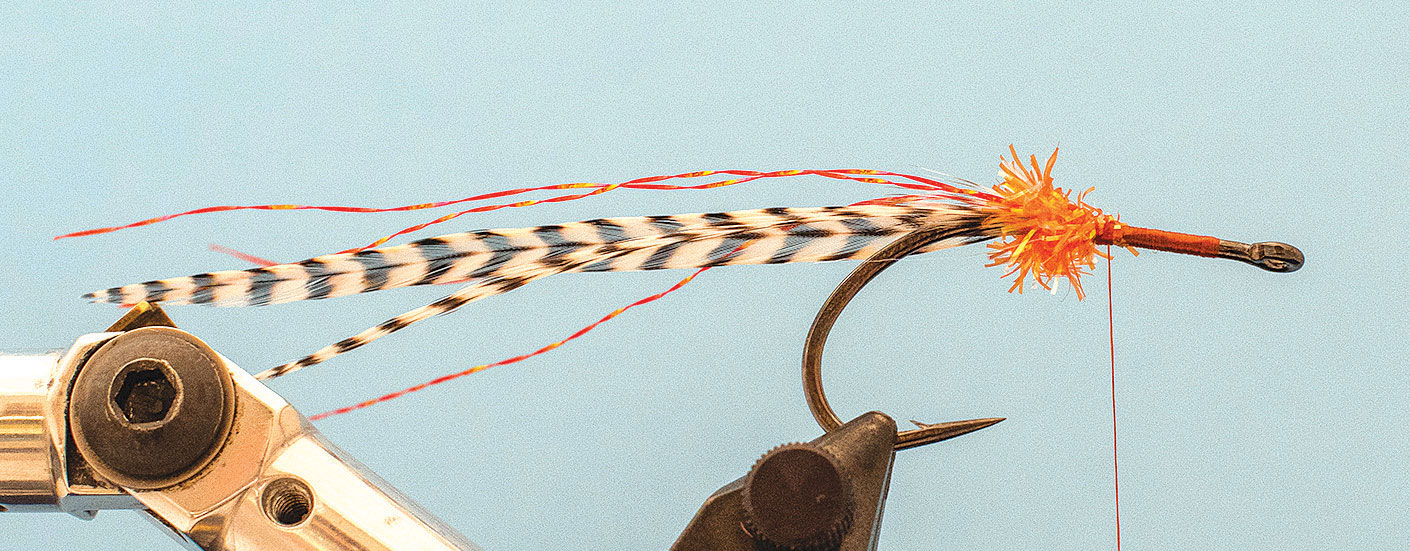 Tying Q’s Articulated Calamari Squid Fly - California Fly Fisher