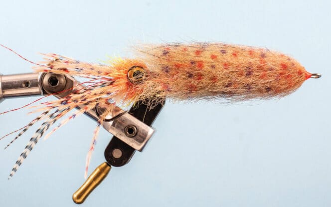 Tying Q’s Articulated Calamari Squid Fly - California Fly Fisher