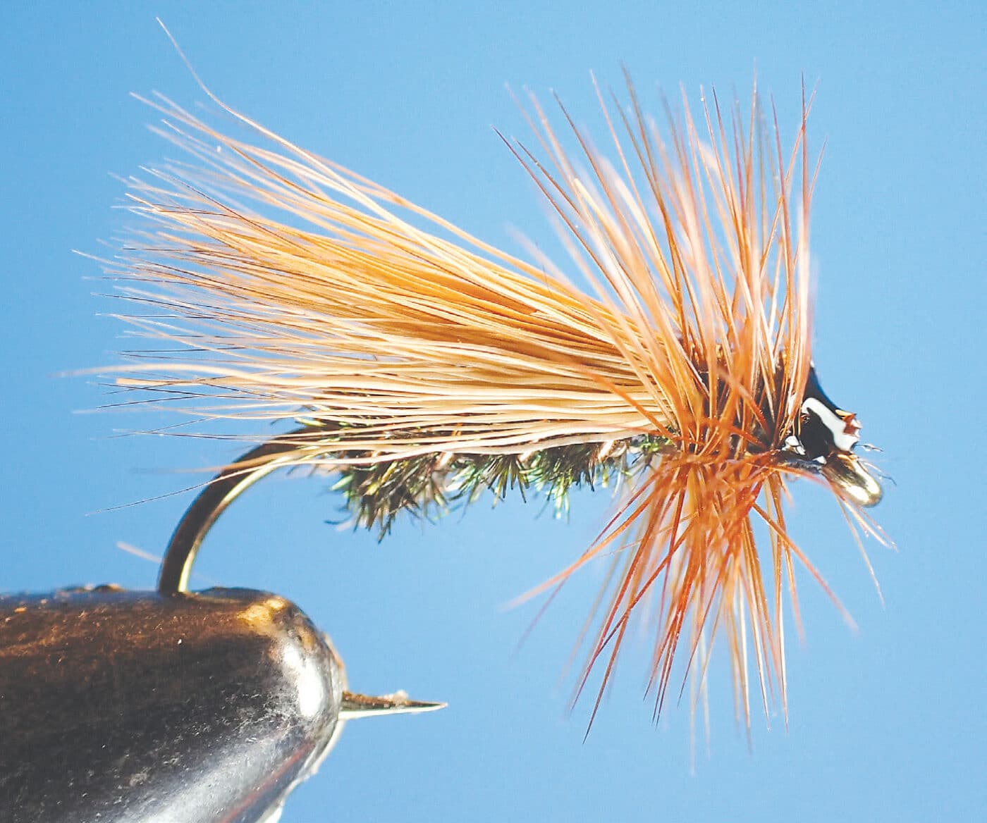 The Carpenter Ant - California Fly Fisher