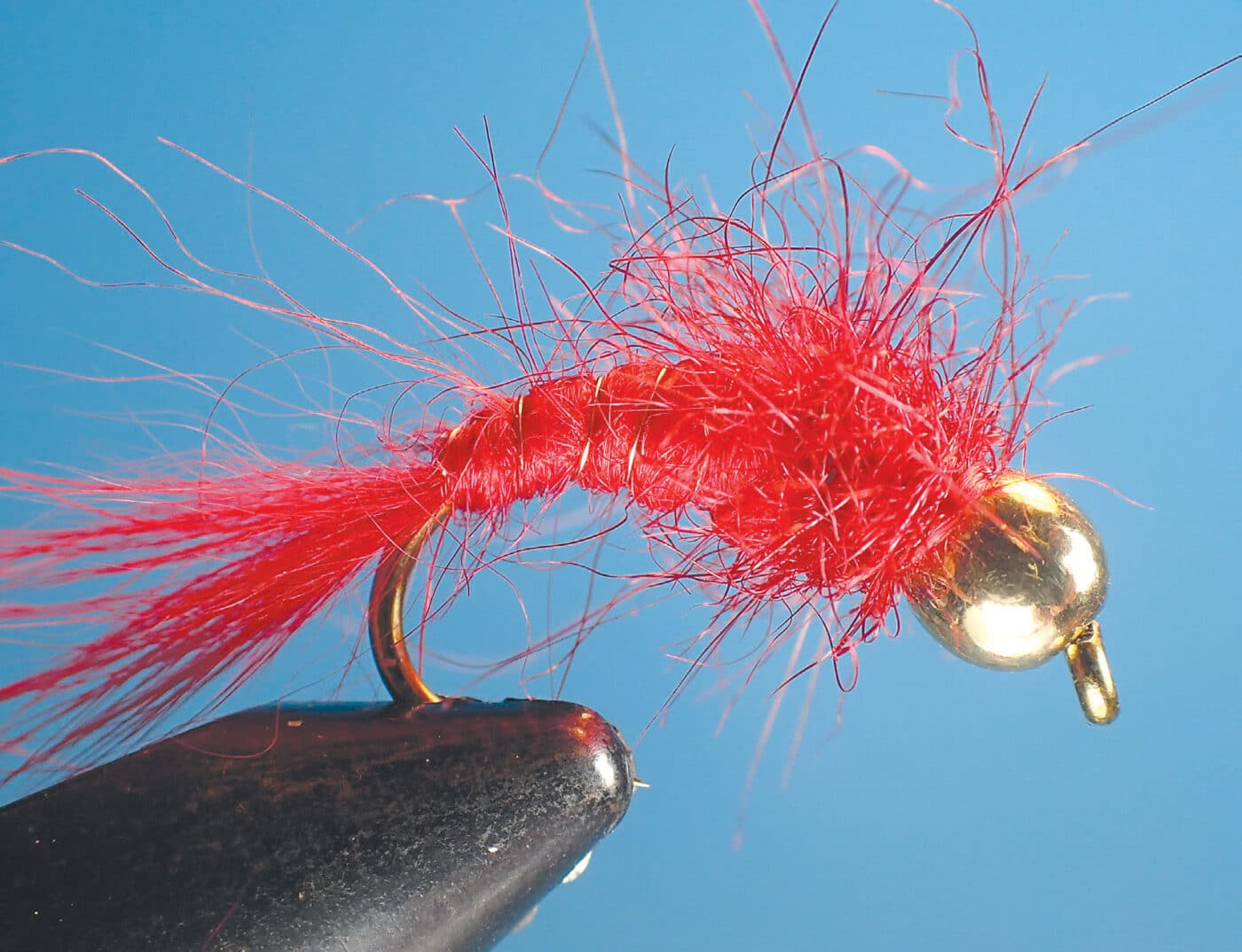 On the Glories of Autumn - California Fly Fisher