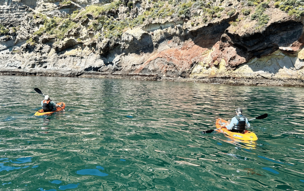 Current Issue Archives - California Fly Fisher