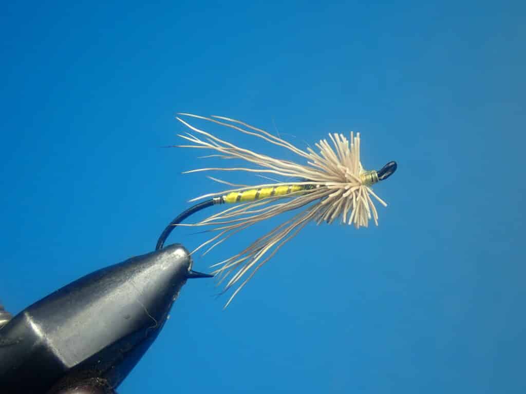 The AP Nymph - California Fly Fisher