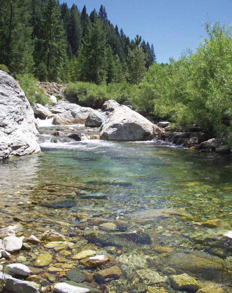 A Guide to the OFFF - California Fly Fisher