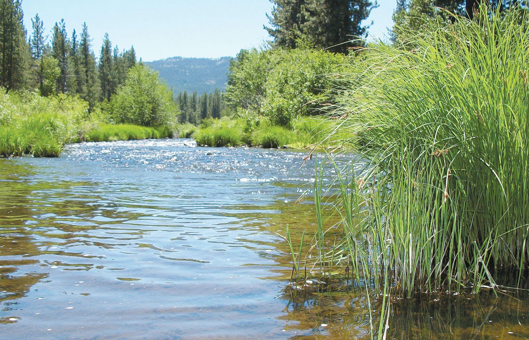 The Wild and Scenic Middle Fork of the Feather River - California Fly ...