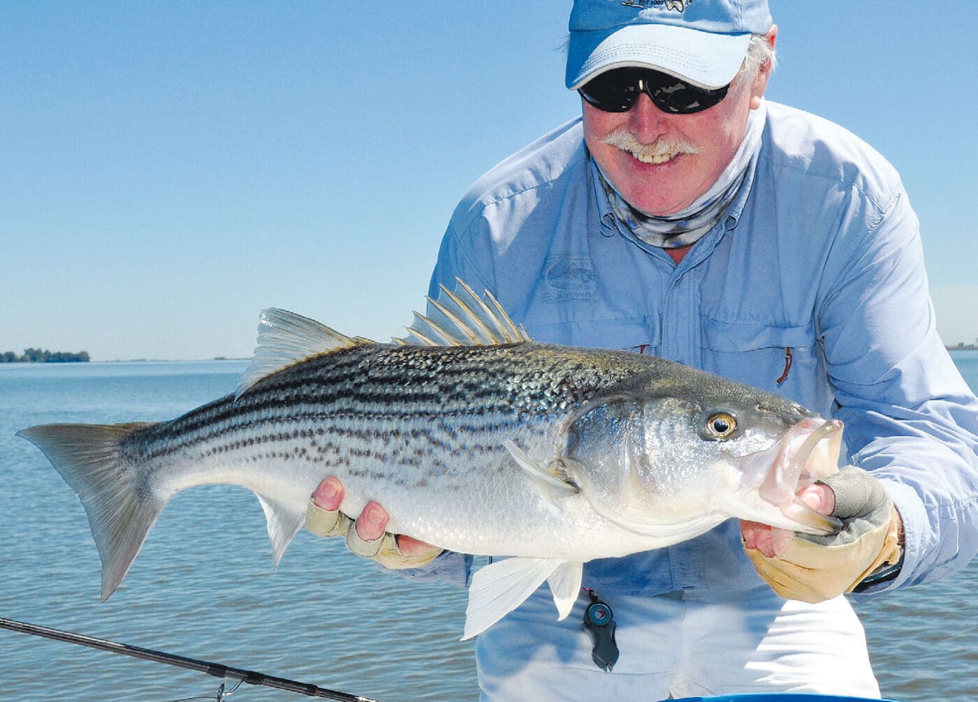 Winter Stripers - California Fly Fisher