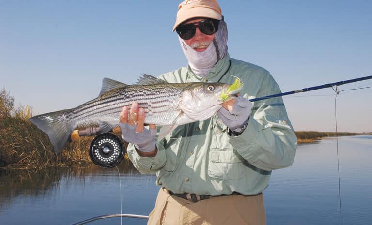 The History of the Whistler - California Fly Fisher