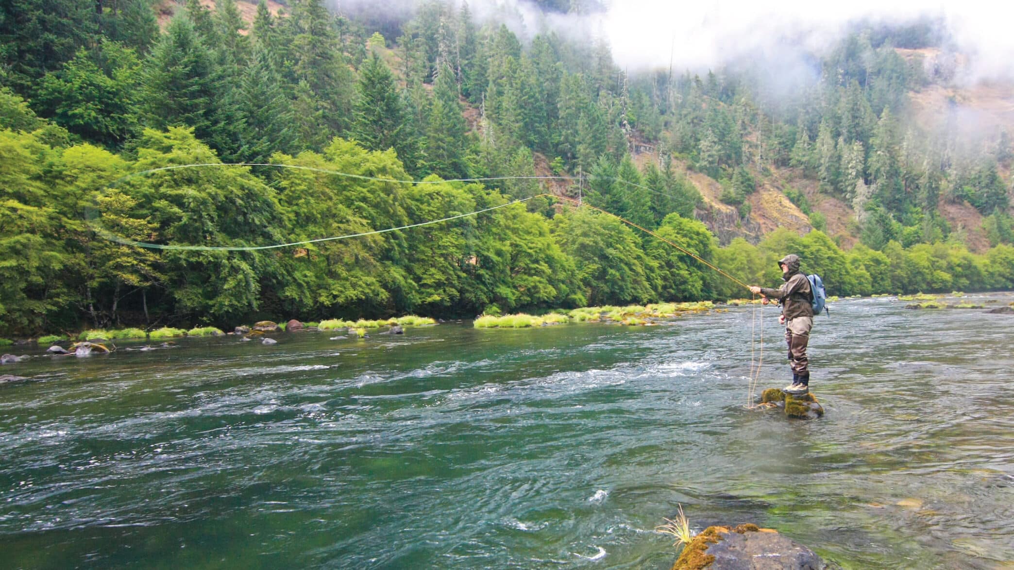 The Foraging Angler - California Fly Fisher