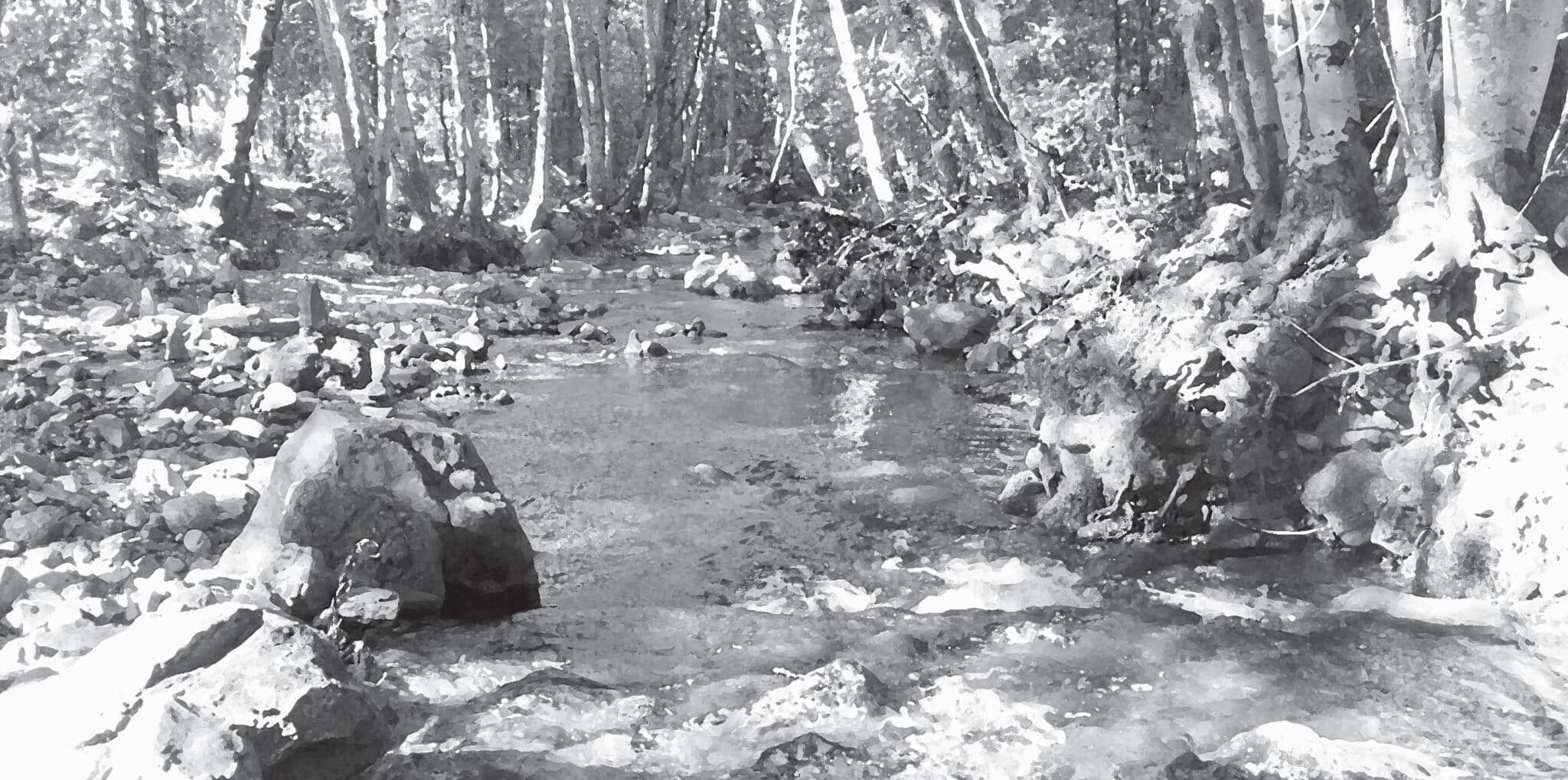 Under the Alders: Why? - California Fly Fisher