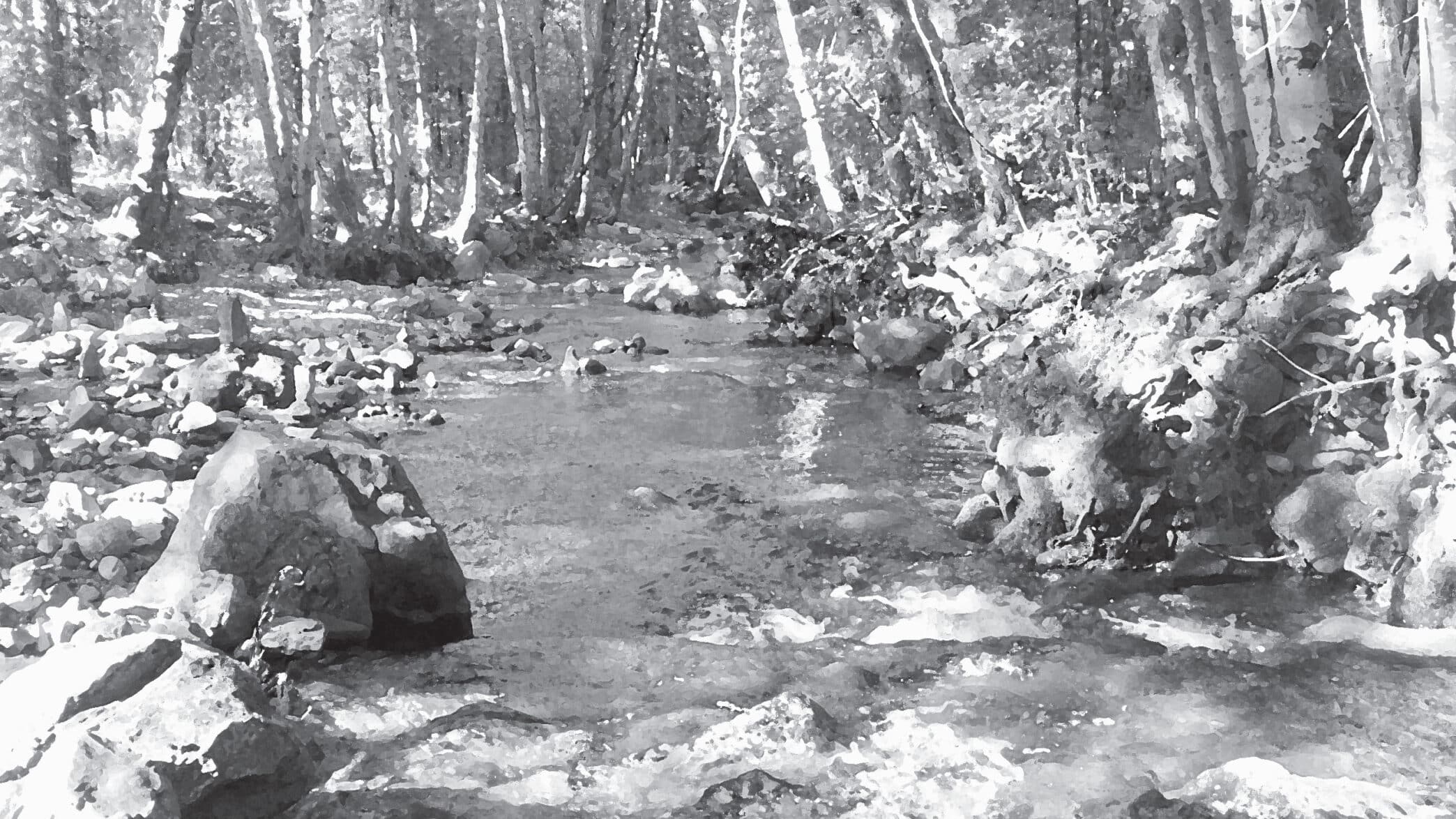 The Stillwater Fly Fisher: Midges - A Big Deal - California Fly Fisher