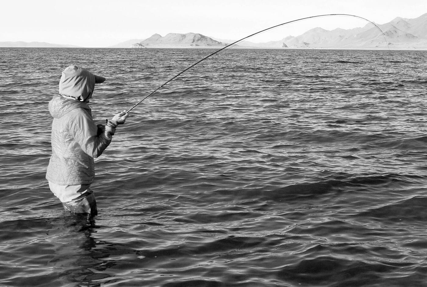 The Stillwater Fly Fisher: Sight Fishing - California Fly Fisher
