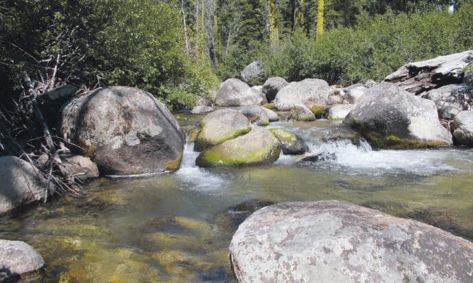 A Trip Back to the Clark Fork - California Fly Fisher
